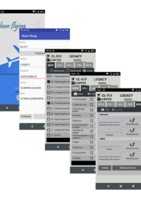 Sistema de Gestão e Controle - Brightwork Aviation